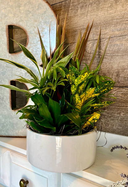 The Dish Garden Planter – Flowers By Evelyn